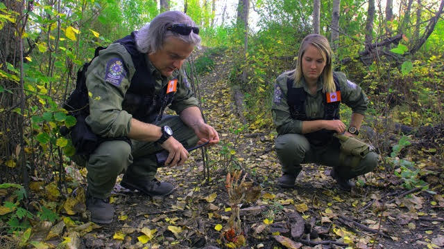 Sukunka: Like Jaws but with Bears – Dawson Creek Art Gallery
